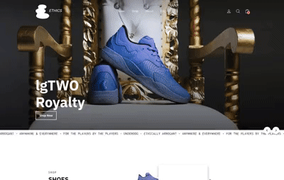 DL Multimedia Web Design Subscription